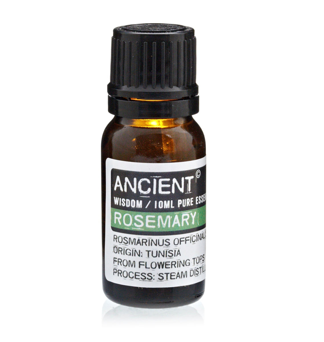 Essential Oil | Rosemary – The Sentient Tree